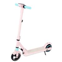 China 150w Scooter Eride with 6.5 inches Tire Size and Portable Lithium Battery 2.5Ah for sale