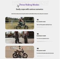 China Off-Road Battery Bike with 35KM/H Max Speed Front and Rear Disc Brakes Electric Bike for sale