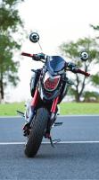 China Experience the Versatility of 2000w Electric Off-Road Motorcycle Perfect for Adults for sale
