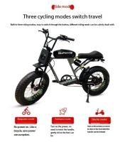China 48V Lithium Battery Off-road Sport Ebike for Adult All Terrain Riding and Beach Cruise for sale