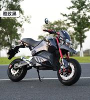 China Experience the Versatility of 2000w Electric Off-Road Motorcycle Perfect for Adults for sale
