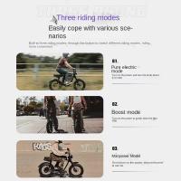 China 60V20AH Lead-acid Battery Cross Mirror Electric Bicycle Off-road Power-assisted Bike for sale