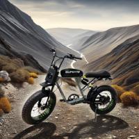 China Off-Road Mountain Adult Battery Car with 48v Lithium Battery from Electric Bicycle for sale