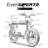 China 1720*350*920mm Retro Electric Bike S1 National Standard Rear Hub Motor Off-Road Mobility for sale