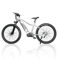 China Electric Bike Fat Tire E-bike Electric Bicycle EU USA Adult Fatbike Warehouse Ready Stock for sale