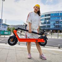 China Two Wheels Foldable Adult Mobility E Scooter 500w 1000w 48v for US EU Germany Warehouse for sale