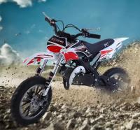China Experience the Thrill 49cc 2-Stroke Single Cylinder Off-Road Pocketbike for Adventure for sale