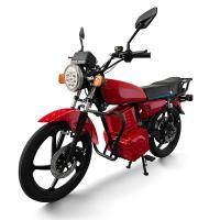 China Manufacturing Electric Dirt Bike 1500w for Off Road Adventures Max. Speed 40 60km/h for sale