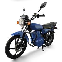 China Manufacturing Electric Dirt Bike 1500w for Off Road Adventures Max. Speed 40 60km/h for sale