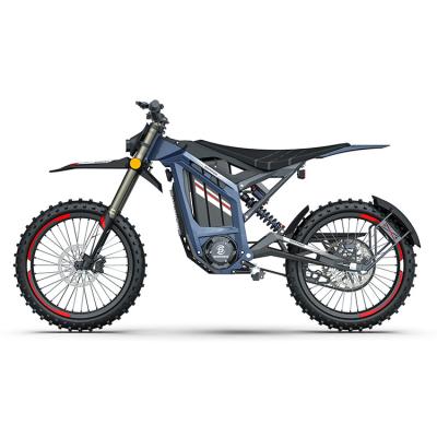 China Inventory 3000W Cool Electric Motorcycle for Off Road Riding Experience for sale