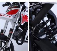 China Affordable 49cc Modern Style Dual Disc Brake Air-Cooled Mini Bike for Off-Road Riding for sale