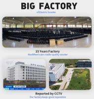 China Foldable 500/800W Warehouse E Scooter with Tubeless Tires and Speed Customization for sale