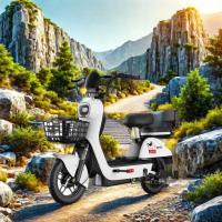 China Rear Hub Motor 48v 350w/500w City Bike Scooter 6-8 Hours Charging Time Ideal for Adults for sale
