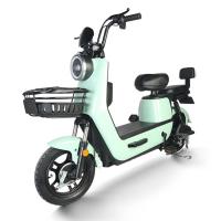 China Mechanical Shock Absorption Front Fork 800w Electric Bicycle Long Range Electric Scooter for sale