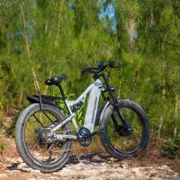 China 48V Voltage Electric Bicycles EU and US Warehouse 17.5A Battery Capacity Off-Road Design for sale