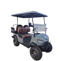 China Electric Golf Buggy with Front Disc Rear Drum Brakes and Grade Ability 20-25° for sale