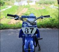China 49cc 2-Stroke 2-Wheeled Mini Pocketbike for Children Chain Drive Off-Road Power Bicycle for sale