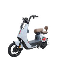 China Mechanical Shock Absorption Front Fork 30KM/H Max Speed Graval Bike with Blue Design for sale