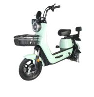 China Torque 30-50 Nm Electric Fat Tire Bike 48V 350W Max Speed 30-50Km/h for sale