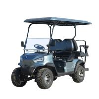 China 2850*1250*1850 Standing Postion of Tail Caddie Equipped Electric Golf Trolley for Market for sale