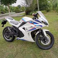 China 3000w Electric Motorcycles 48V20A Lead Acid Battery Street Bike with 10 Inch Vacuum Tyre for sale