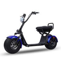 China Vacuum Tire Type X9 1001-2000W Power 60v Voltage Fat Tire Citycoco Scooter for Travel for sale
