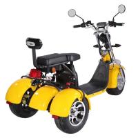 China High Loading Capacity 200Kg 1500W 12AH/20AH Double Seat Citycoco Tricycles for Adult for sale