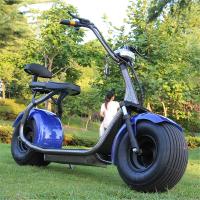 China Unisex Citycoco 2-Wheel Electric Style Scooter with and Digital Applicable Technology for sale