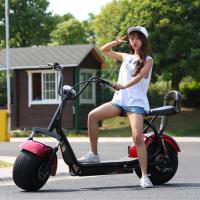 China Unisex Citycoco 2-Wheel Electric Style Scooter with and Digital Applicable Technology for sale