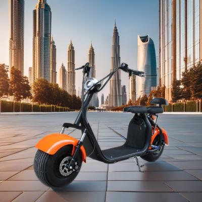 China Removable Battery 800w Citycoco Scooter with 1000W Motor Power Range Per Charge 60-80km for sale