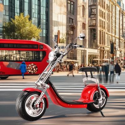 China Retro Adult City Scooter 60V20A 1500w Lithium Battery Motorcycle with 24