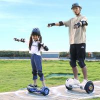 China 10inch 700W 36V Two-wheel Scooter with Max Speed 11-20km/h and Sale Charge time 2-3H for sale