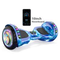 China 10inch 700W 36V Two-wheel Scooter with Max Speed 11-20km/h and Sale Charge time 2-3H for sale