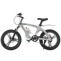 China Kids Bike of Cycle Free Bikes Made in with Air Tyre and Unilateral Folding Pedal for sale