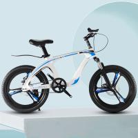 China Kids Bike of Cycle Free Bikes Made in with Air Tyre and Unilateral Folding Pedal for sale