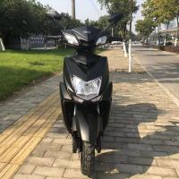 China 2024 800W 60v Cargo Delivery Motorcycle with Rear Hub Motor Steel Frame Lithium Battery for sale