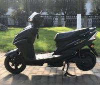 China 2024 800W 60v Cargo Delivery Motorcycle with Rear Hub Motor Steel Frame Lithium Battery for sale