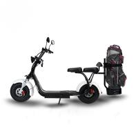 China Scooters 1000w 2000W 3000w Citycoco Disc Brake Two-wheel Scooter for Adult Motorcycle for sale