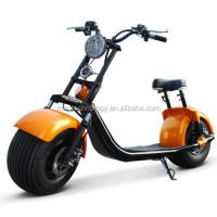 China 60V 12AH Battery Power Electric Scooter for Elderly 2-Seater 2-Wheel Mobility Scooter for sale