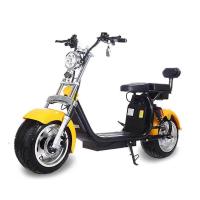 China Unisex Citycoco Customizable Color 2020 Best Large Motorcycle Adult Golf Bike Wide Tires for sale