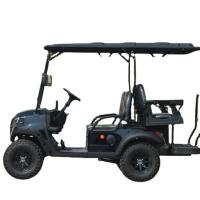 China Golf Cart Bag Off Road Buggy with 10 Inch Aluminum Alloy Wheels and AC Controller for sale