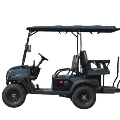 China Golf Cart Bag Off Road Buggy with 10 Inch Aluminum Alloy Wheels and AC Controller for sale
