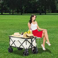 China Durable Outdoor Beach Camping Trolley Cart with Folding Structure Roll Container for sale