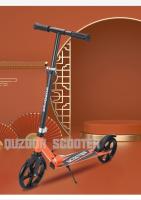 China Adult Foot Scooter with Two Wheels NO Light Included Various Specifications Chinese for sale