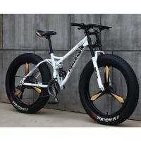 China Spokes Wheel Type 26'' 4.0 Snow Bike on Popular Beaches and Mountains for sale