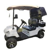 China 48V/60V/72V Controller Discount Golf Cart Bag for Off Road Buggy and Golf Electric Car for sale