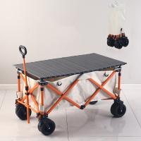 China Double Brake Wheel Design Hand-Held Outdoor Camping Trolley for Convenient Wide Wheel for sale