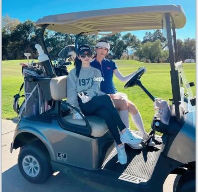 China Electric Golf Trolley Parts for Golf Carts Golf Car- and Performance Wheelbase 1700mm for sale