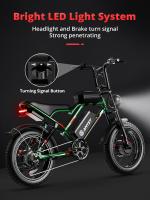 China Hydraulic Brake Iron Frame 2000w Fat Tire Beach Cruiser E-Bike for All-Terrain Riding for sale