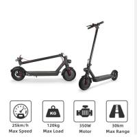 China 10 inch Tyre Electric Self Balancing Scooter with Rechargeable Battery and LED Lights for sale